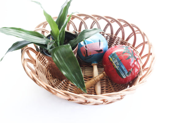 Vintage Coconut Shell Maracas, Hand Painted Maracas - Mendez Manor